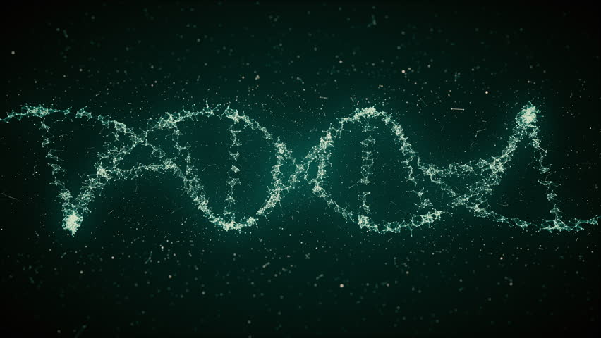 Looped Animated DNA Strand. Animation Of DNA Located Vertically ...