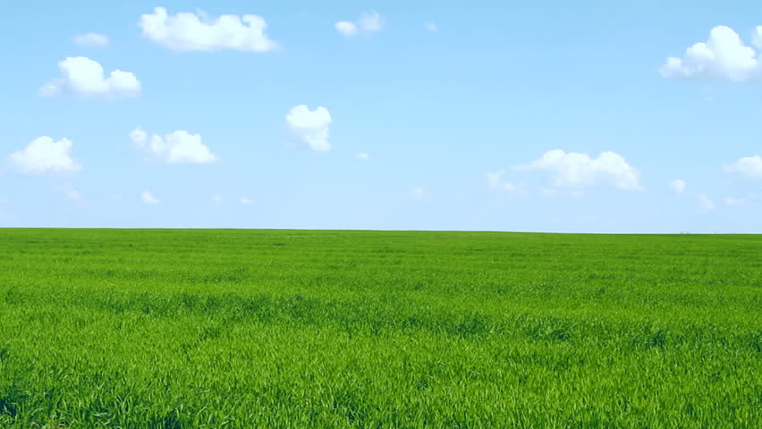 Time Lapse Of Grass Field And Perfect Sky With Moving Cloud วิดีโอสต็อก ...
