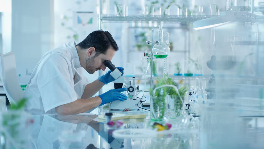 4K Research Scientists Studying Plant Life In Laboratory Dec 2016-UK ...