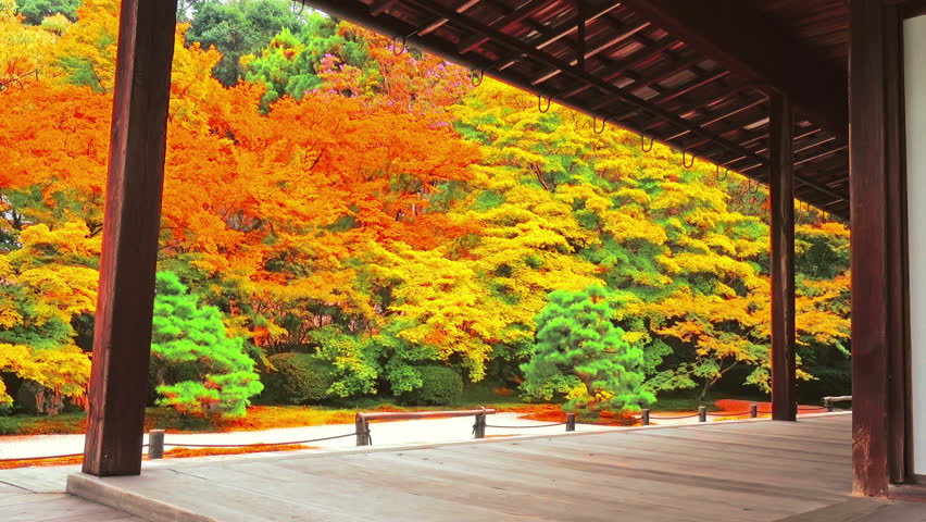 Stock Video Clip of Kyoto, Japan - September 12, 2016: Autumn ...