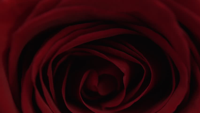 Animation Of Waves And Ripples In Red Blood. Rippled Surface Of Red ...