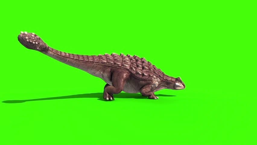 Ankylosaurus Dinosaurs Attack Loop Side Stock Footage Video (100% ...