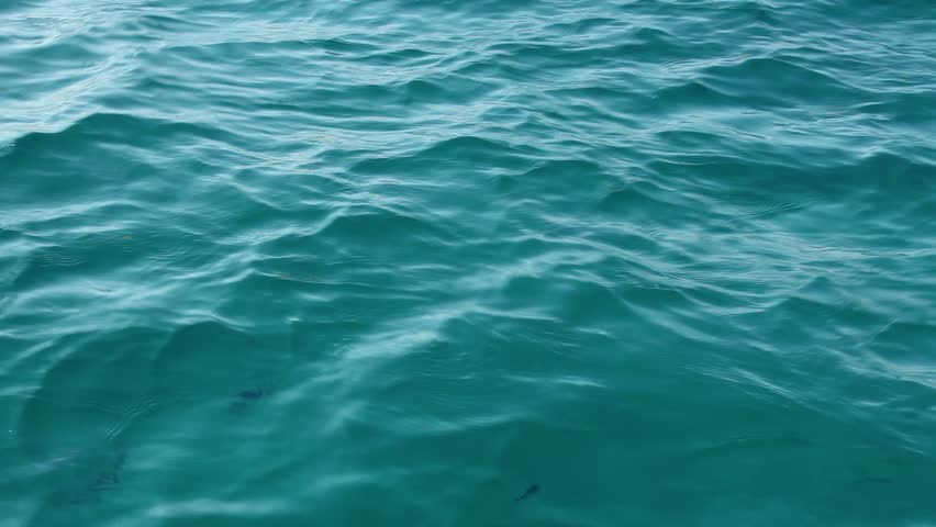 Cyan Water Background Stock Footage Video 219304 | Shutterstock