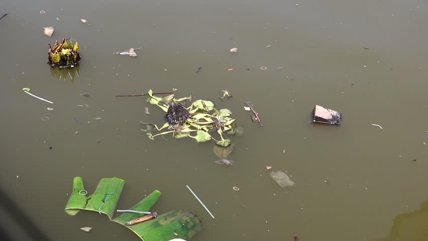 Garbage floating in the river Chao Phraya, 的库存视频影片 | Shutterstock