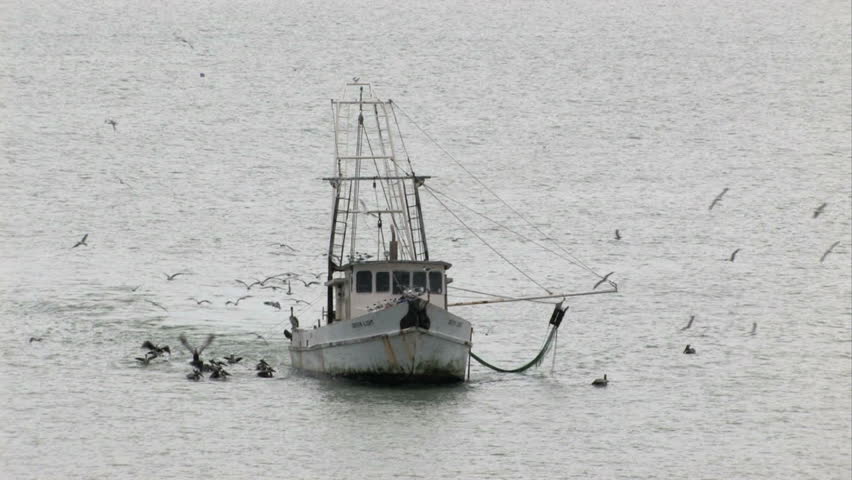 Stock Video Clip of Shrimp boat trolling in the Corpus Christi ...