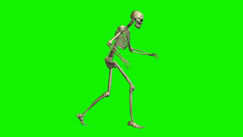 Female Hula Hoop Exercise Stock Footage Video 4750940 | Shutterstock