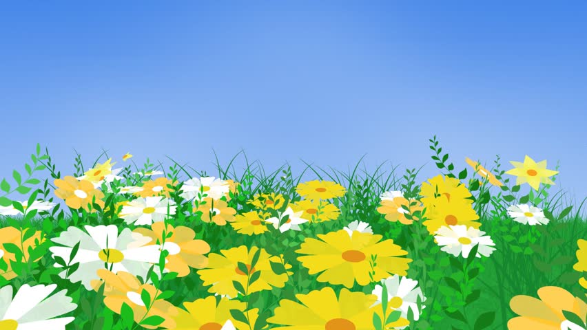 Animation Flourish Field Stock Footage Video (100% Royalty-free) 263569 ...