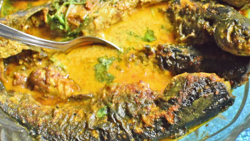 Golden Barb Or Golden Dwarf Barb In Aquarium. The Golden Barb Or Golden ...