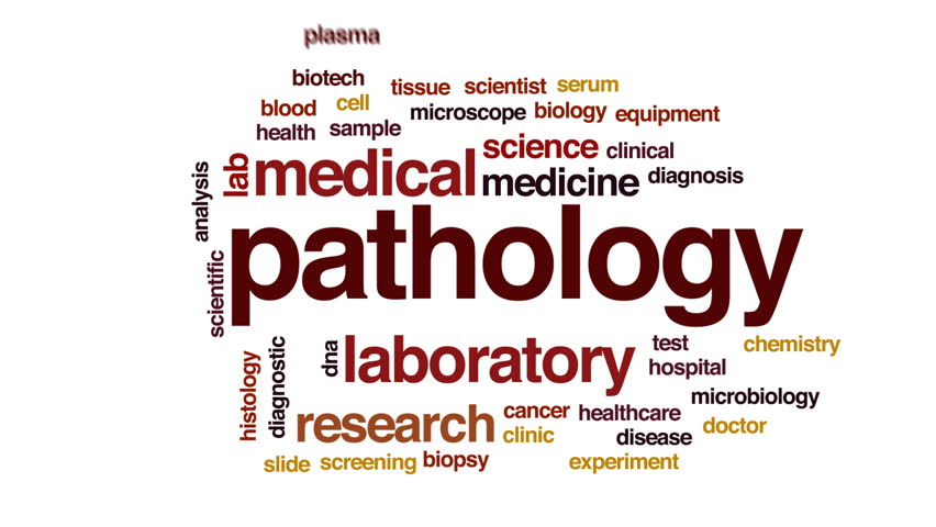 Pathology Animated Word Cloud, Text Stock Footage Video (100% Royalty ...