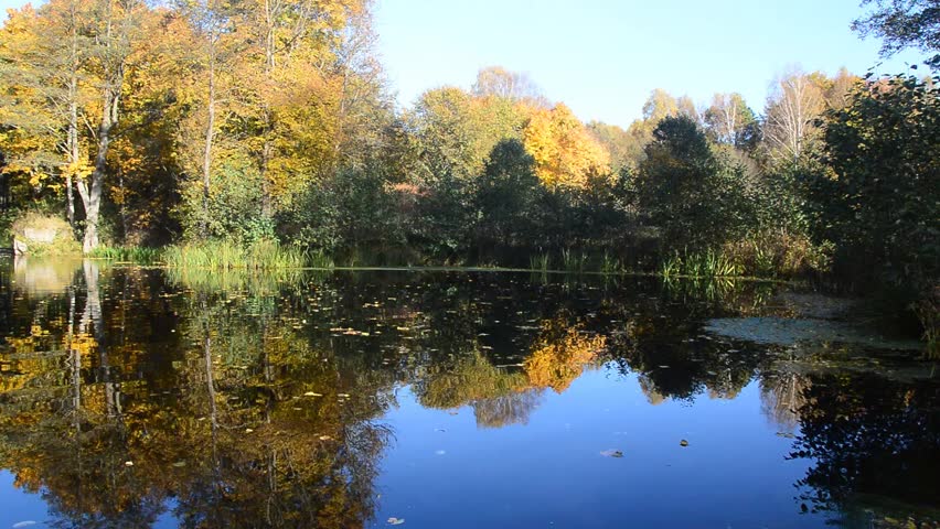 River Clean Fresh Water Stock Footage Video (100% Royalty-free) 2910409 ...