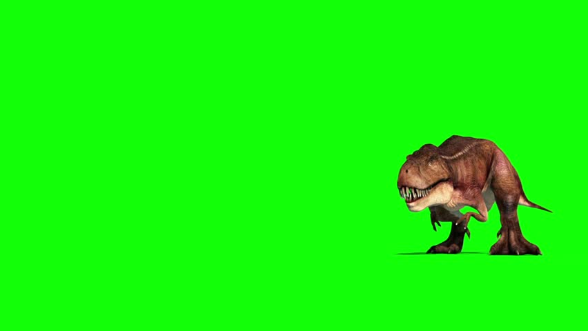 คลิปวิดีโอสต็อกของ Tyrannosaurus T-Rex Attack Green Screen 3D Rendering ...