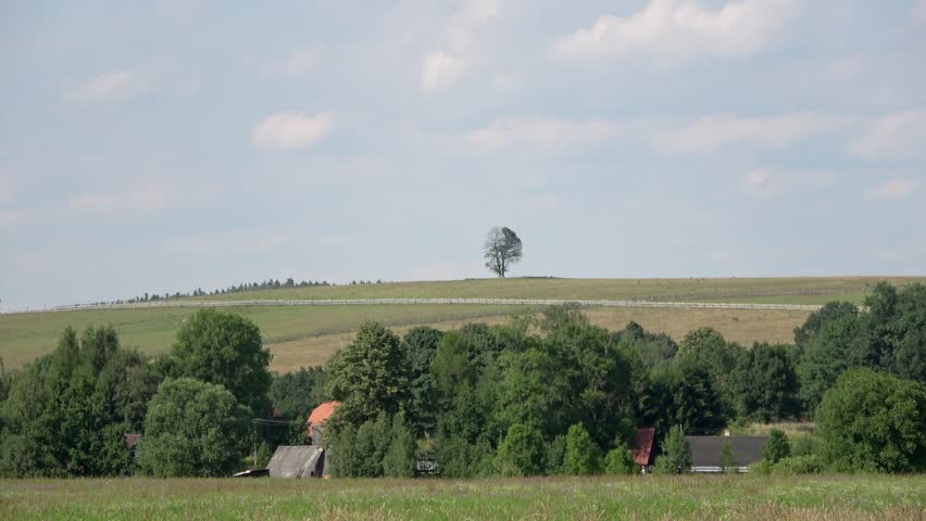 Meadow and Single Tree in the distance image - Free stock photo ...