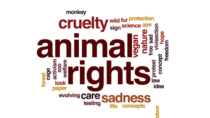 Animal Rights Animated Word Cloud, Stock Footage Video (100% Royalty ...