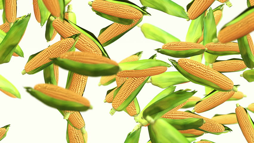 Animation of Falling Corn Cobs Stock Footage Video (100% Royalty-free ...