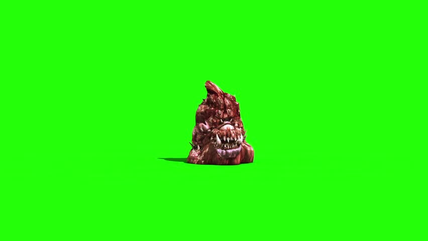 Dog Poop Stock Footage Video | Shutterstock