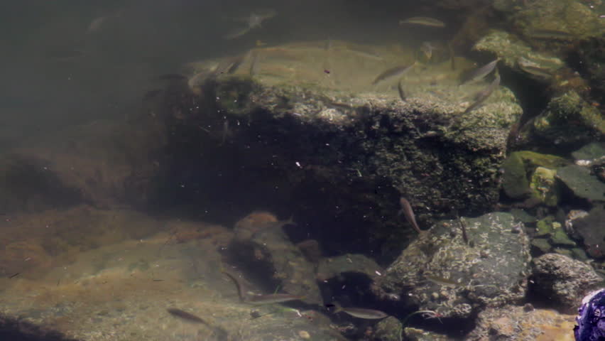 Aerial Shot Of Destructed Ground And Rocks After Mining Explosion Stock ...