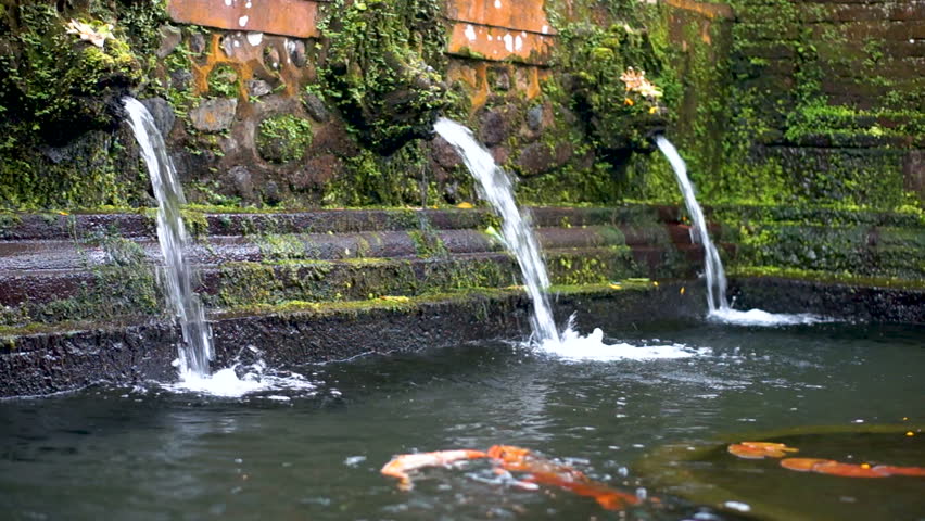 The Streams Of Water Are Flowing Into The Pool Of Sebatu Gunung Kawi ...