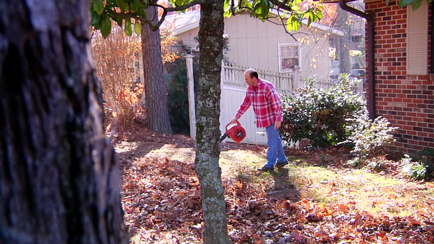 Cleaning Leaves Stock Footage Video (100% Royalty-free) 3400829 ...