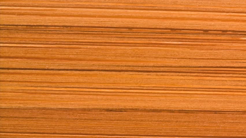 Stock video of close up of a bamboo ply | 3414059 | Shutterstock