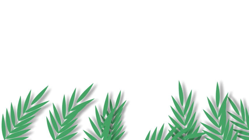 Tropical Palm Leaves Animation. Alpha Stock Footage Video (100% Royalty ...