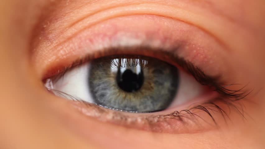 Stock video of left blue eye with reflection of | 3541139 | Shutterstock