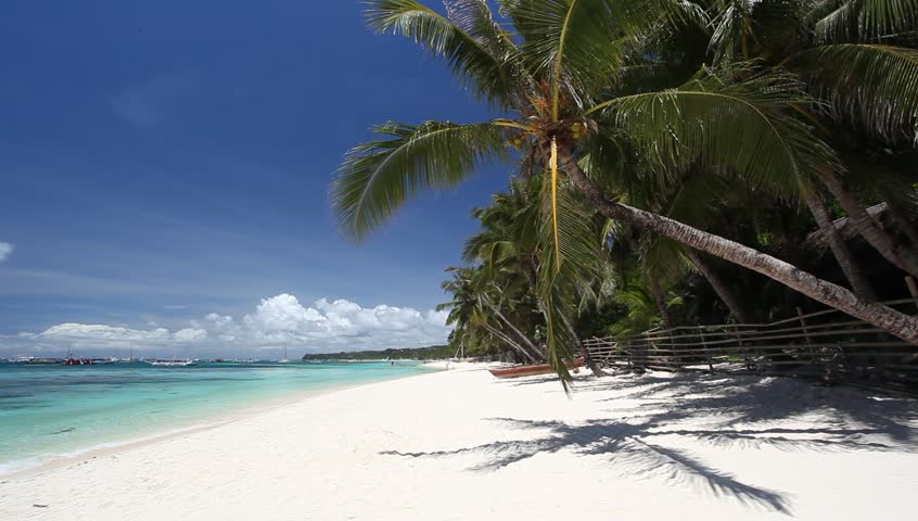 Palm Tree On Tropical Beach, Philippines, Boracay Island Stock Footage ...