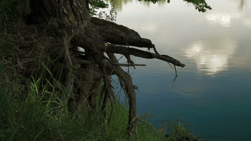 Bank of the River, the Stock Footage Video (100% Royalty-free) 4090459 ...