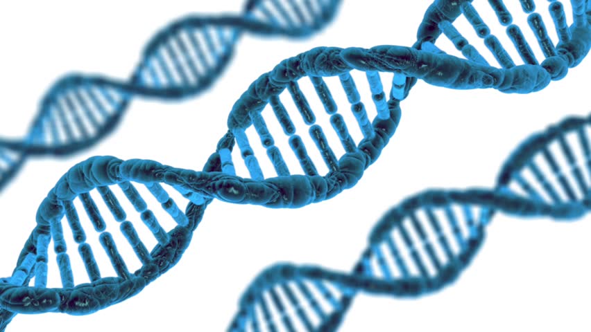 Loop rotation of a molecule of DNA and cell division | Freestock videos