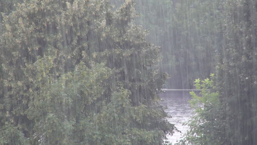 Storm, Rain, Summer Rain, Torrential Stock Footage Video (100% Royalty ...