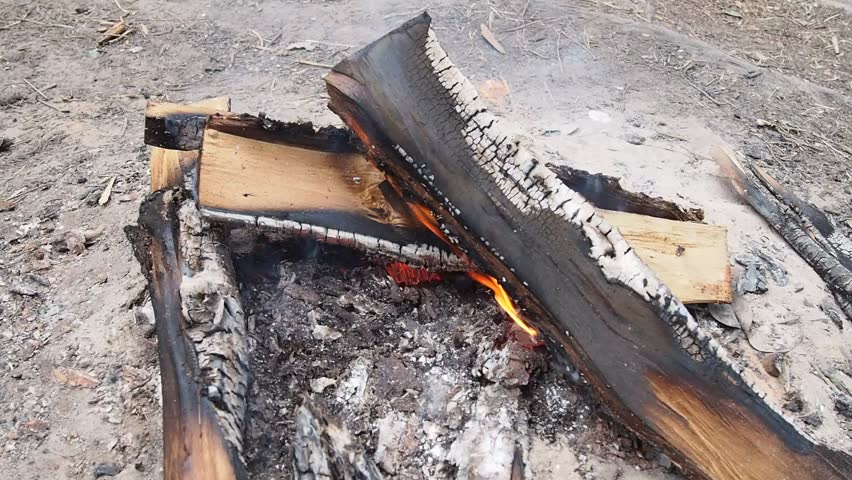 Fire Damaged Wood Pictures