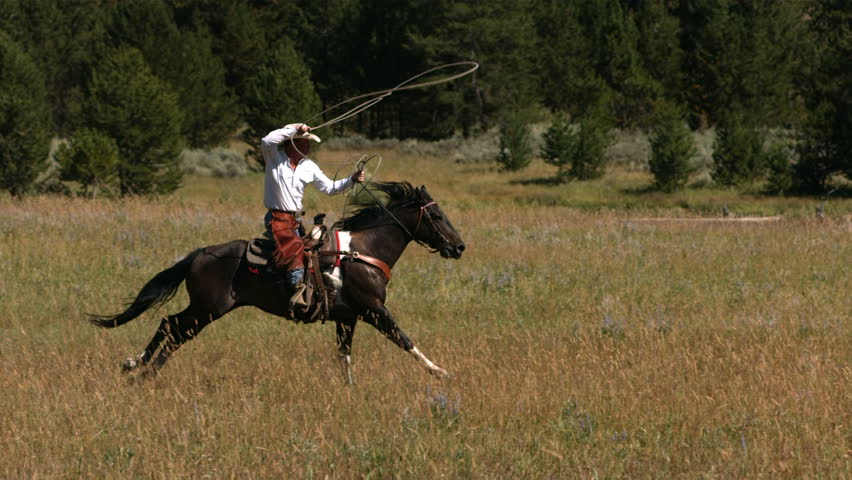 A Cowboy Rides A Galloping Horse In An Open Field, In Slow Motion Stock ...