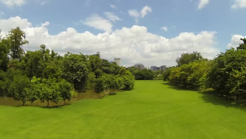 Drone Flying Through Two Tree Lines Healthy Trees And Beautiful Field ...