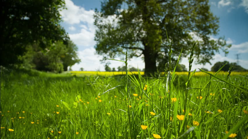 English Countryside Stock Footage Video | Shutterstock