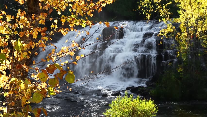 Waterfall loop Stock Video Footage - 4K and HD Video Clips | Shutterstock