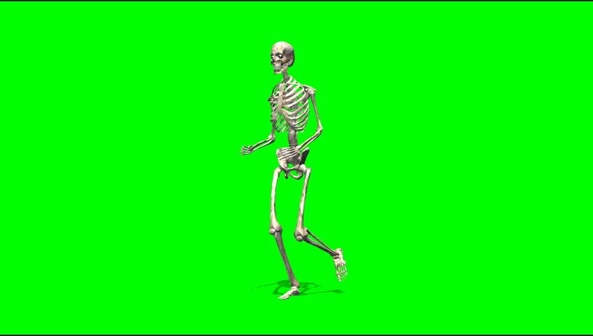Skeleton - Various Poses - Green Screen Stock Footage Video 5586962 ...