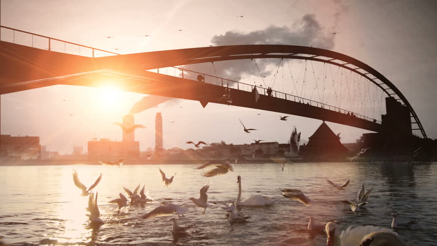 Water pollution Stock Video Footage - 4K and HD Video Clips | Shutterstock