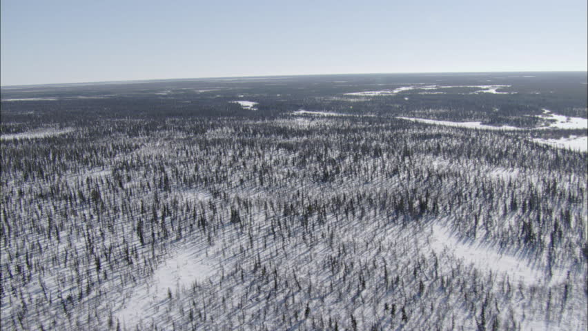 Frozen Tundra. Aerial Shot Of A Vast Frozen Expanse Of Flat Land. Stock ...
