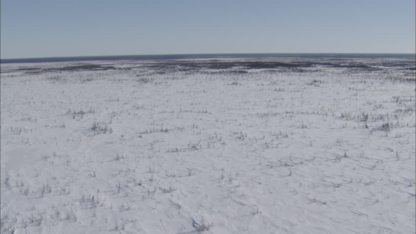 Frozen Tundra. Aerial Shot Of A Vast Frozen Expanse Of Flat Land. Stock ...