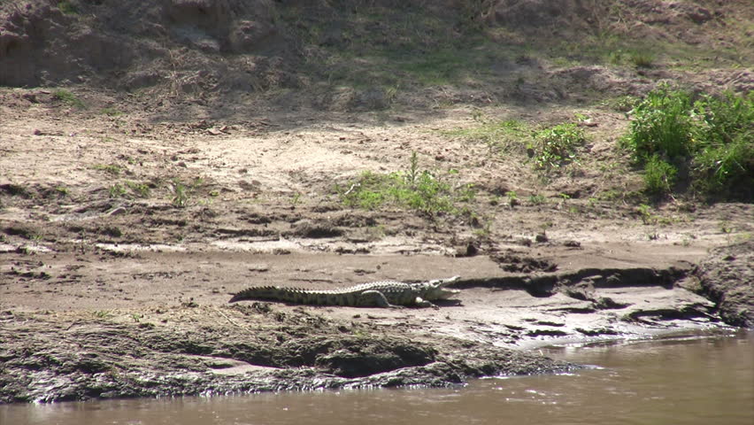 Flash Flood Raging Across Road Mud. Monsoon Rain Water Thick With Mud ...