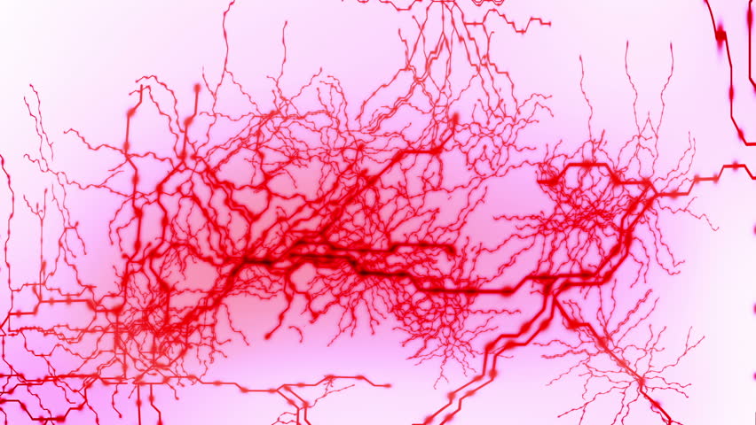 Blood Vessels Stock Video Footage - 4K and HD Video Clips | Shutterstock