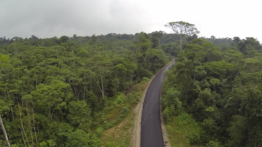 Aerial View Of A Road Running Through Primary Tropical Rainforest In ...