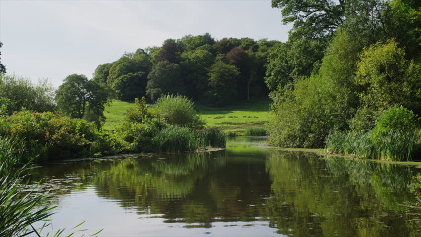 Medium Shot of Field and Stock Footage Video (100% Royalty-free ...