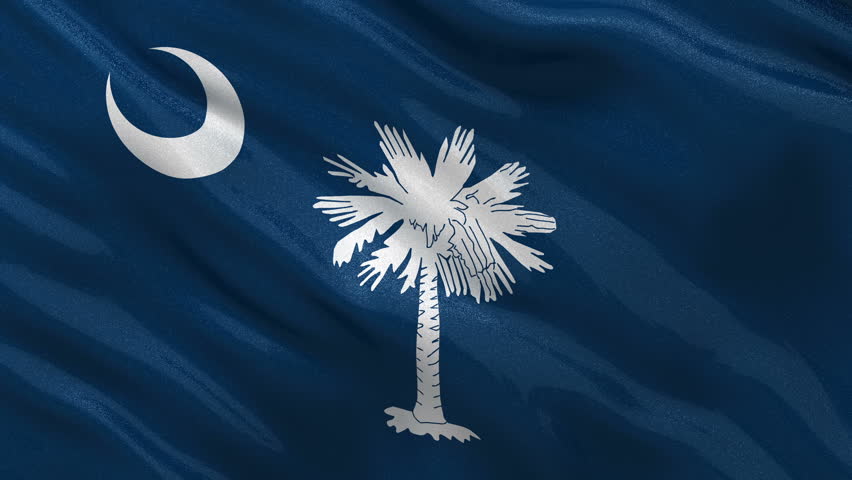 Us State Flag of South Stock Footage Video (100% Royalty-free) 6262559 ...