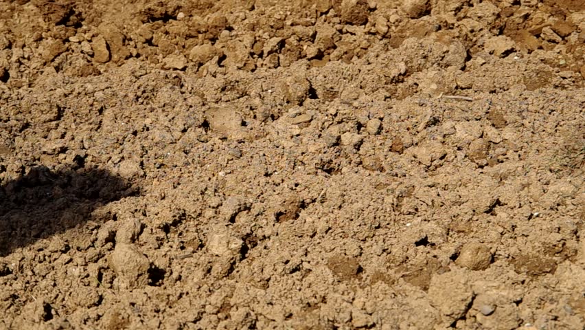 Stock video of hoeing the soil, preparing the soil | 6352259 | Shutterstock