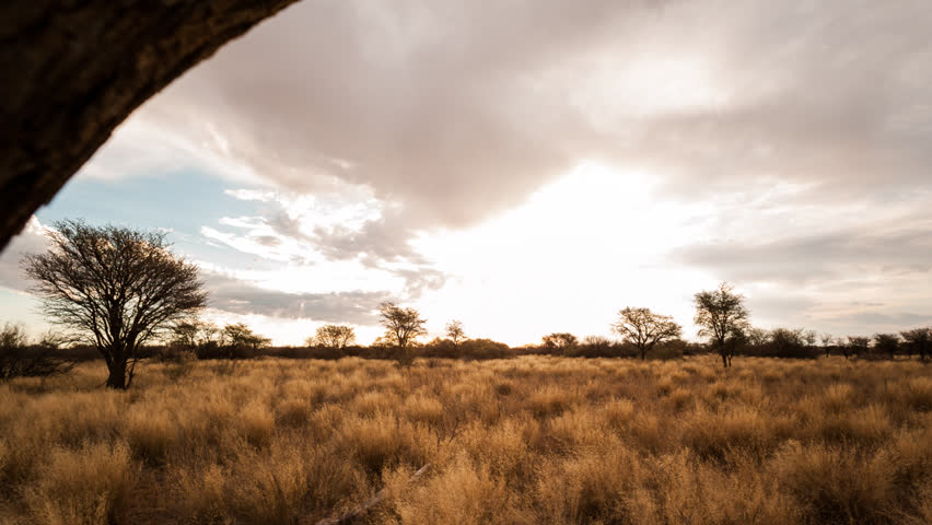 Bushveld Stock Video Footage - 4K and HD Video Clips | Shutterstock
