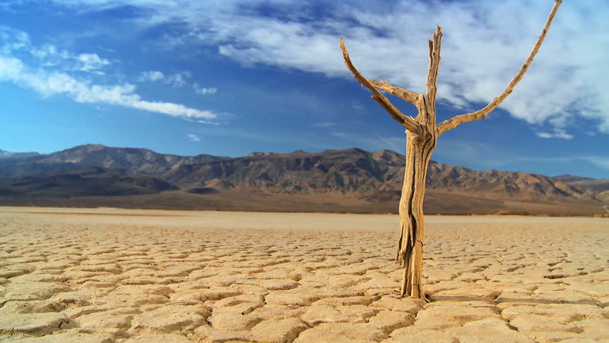 Petrified Tree In Barren Environmental Landscape With Desert Hills ...