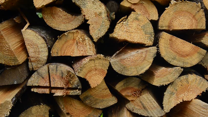 Stack Fresh Cut Birch and Stock Footage Video (100% Royalty-free ...