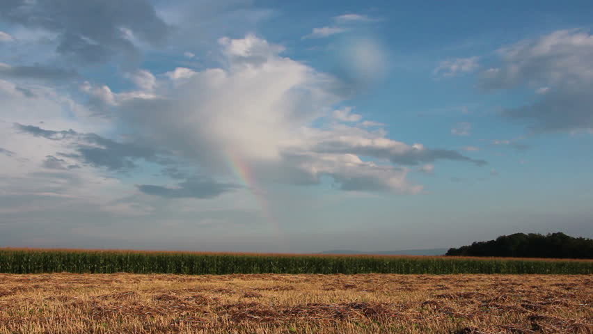 Video stock a tema Rainbow Over Corn Field Goes (100% royalty free ...