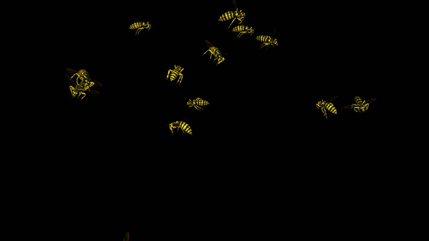 Stock video of looping wasp swarm animation 1. with | 714829 | Shutterstock
