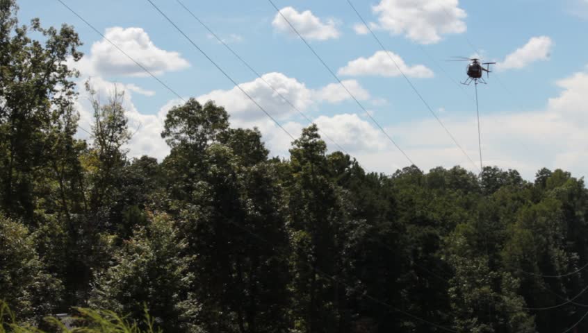 Helicopter With Suspended Tree Trimmer Cutting Trees Near Power Lines ...